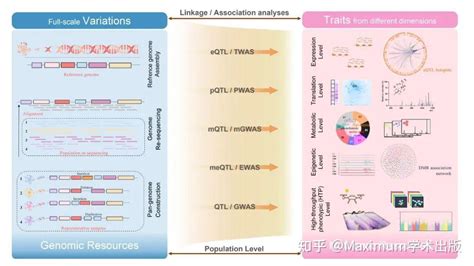 Opr 综述 多组学背景下园艺植物群体遗传学研究进展 知乎
