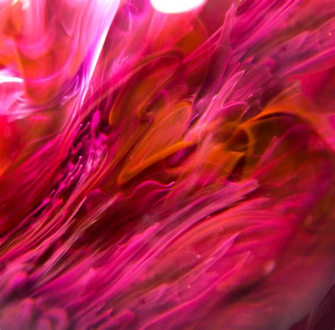 Photography Daisy Chadwick Art