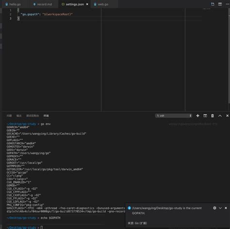 Gopath From Zshenv Not Detected Correctly · Issue 1133 · Microsoft
