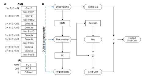 Figure 1 From Prediction Of Radiation Pneumonitis With Dose Distribution A Convolutional Neural