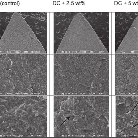 Scanning Electron Micrographs Of Fractured Surfaces Of Dc Dc25 And