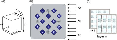 Lpbf Processing Details A Specimen Geometry B Specimen Arrangement