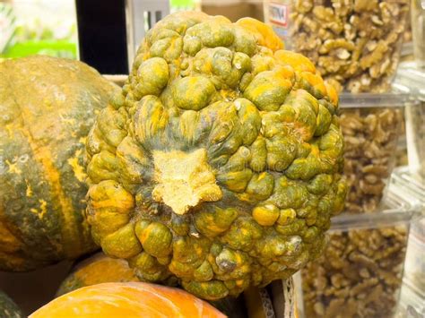 Textured Green And Orange Squash With Bumpy Surface In Market Display