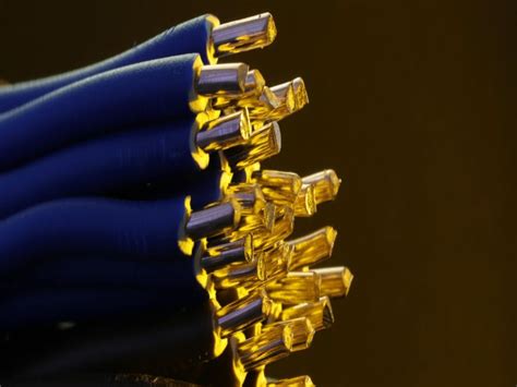 Top 5 Career Options After Ece