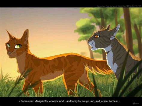 Leafpawpool Telling Squirrelpawflight About Herbs Before The Journey