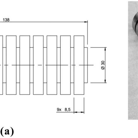 Positions Defined For The Specimen Download Scientific Diagram