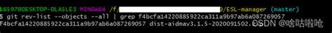 【经验分享】git项目 git objects pack很大，clone很久，object文件清理 git objects pack文件可以