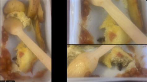 Air India Passenger Discovers Cockroach In Meal On Delhi New York