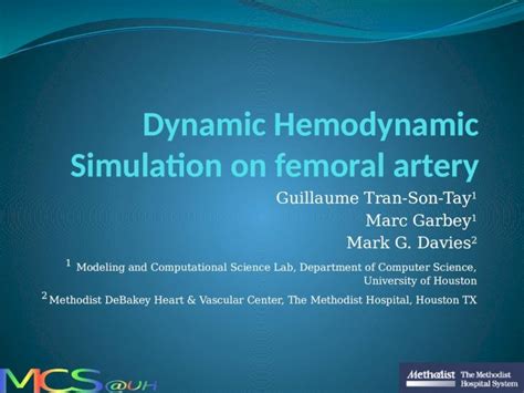 pptx dynamic hemodynamic simulation on femoral artery dokumen tips
