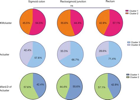 Comprehension Of Rectosigmoid Junction Cancer Molecular Features By Comparison To The Rectum Or