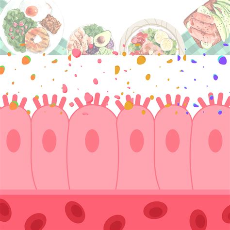 Four Essential Steps For Managing Ibd Long Term