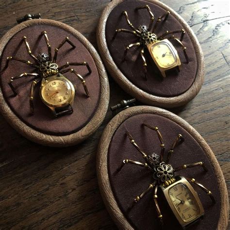 Atypicalcuriosities Shared A Photo On Instagram Clock Spiders 🕷🕰
