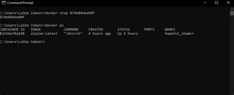 My First Day Of Learning Docker DEV Community