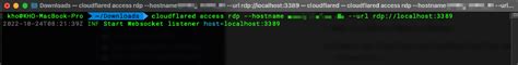 Secure Rdp With Cloudflare Zero Trust Holmqdk