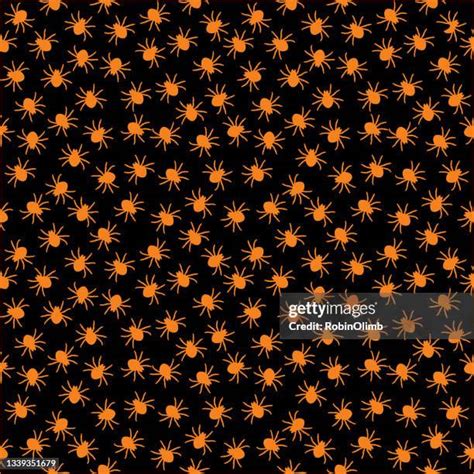 Black And Orange Spider Photos And Premium High Res Pictures Getty Images