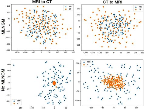 Visualization Of The Latent Feature Space Of Lmisa With And Without