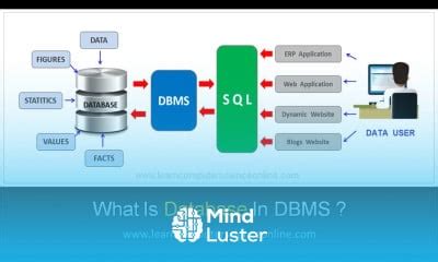 Learn What Is Database Beginners Introduction To Database In DBMS