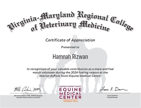 Volunteering Is A Powerful Way To Enhance Your Mental And Physical Well