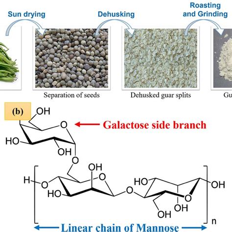 A Extraction Procedure Subramani Et Al 2021 And B The Molecular Download Scientific Diagram