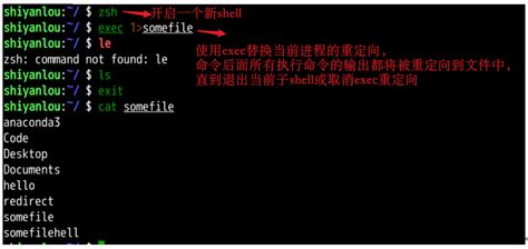 数据流重定向 蓝桥云课