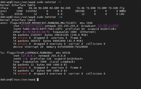 Netstat Sur Linux Utilisations Et Exemples