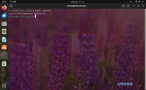 如何在 Ubuntu 中安装、更新和卸载 Rust 系统极客 如何在 Ubuntu 中安装、更新和卸载 Rust 系统极客