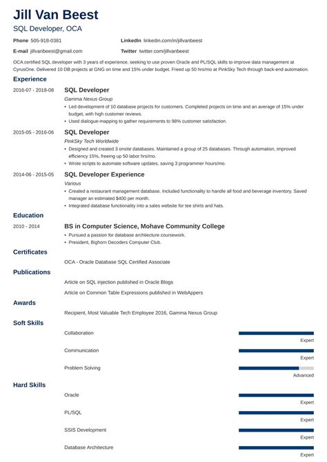 SQL Developer Resume Sample Examples Tips
