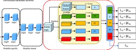 framework of our proposed global and local feature fusion method for vi