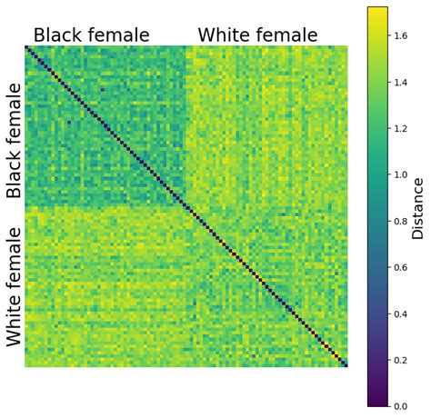 Bonus Tutorial Facial Recognition Using Modern Convnets — Neuromatch Academy Deep Learning