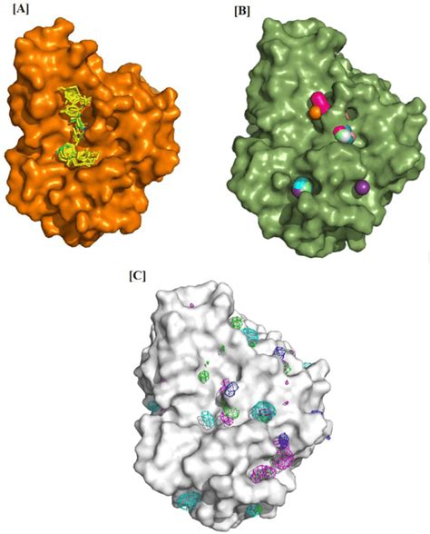 Comparison Of The A Ftmap Allosteric Site Prediction Results With The