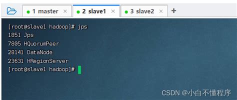 Hadoop集群配置2hadoop Conf Dir Csdn博客