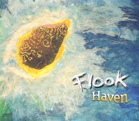 Flook Haven Cd Flook Muziek