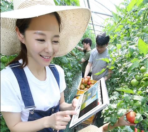 Kt It기반 부자농부 만든다” Ict 농업융합 스마트팜사업 본격 착수 피치원미디어