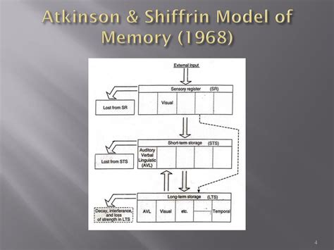 Ppt Sensory Memory And Short Term Working Memory Powerpoint Presentation Id6115515