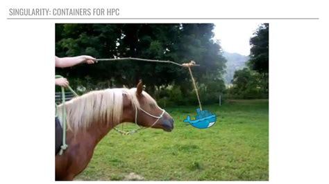 Introduction To Singularity And Data Containers Pptx