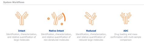 Intact Mass Workflow