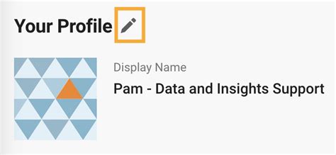 generating app tokens and api keys data and insights client center