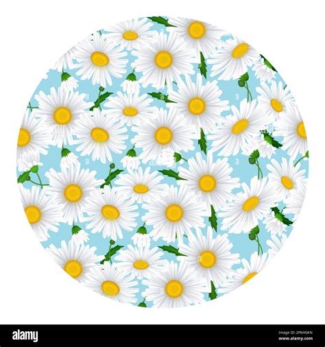 Minimalist Round Shape Daisy Pattern Stock Vector Image And Art Alamy