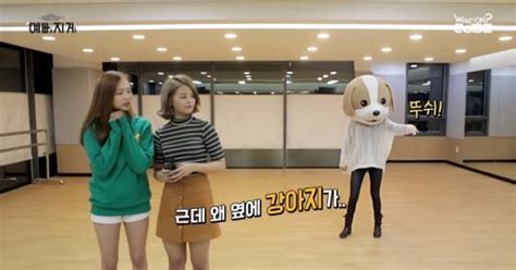 씨엘씨 예뻐지게 안무영상최유진 팝핀춤막춤 팬 홀렸다 씨엘씨 예뻐지게 안무영상최유진 팝핀춤막춤 팬 홀렸다