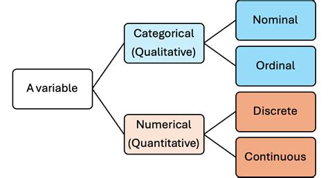 21 Data Set Structure And Variable Types — Stat 350