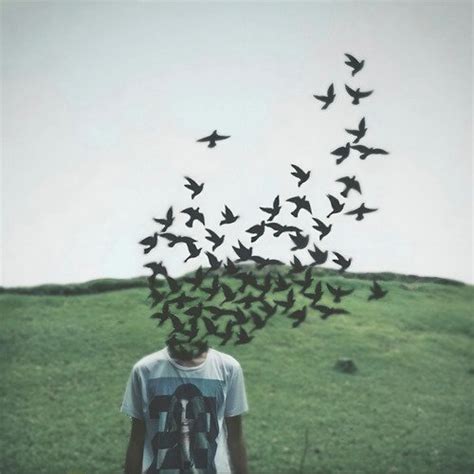 Bimbs World Songs Download Free Online Songs Jiosaavn