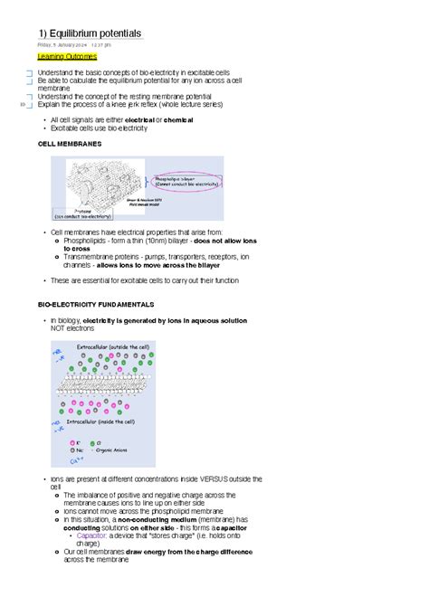 1 Equilibrium Potentials 1 Equilibrium Potentials Friday 5 January