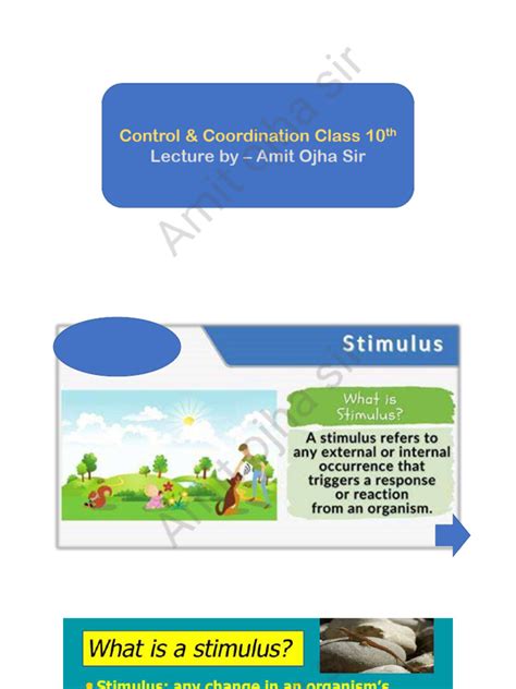 Class 10 Control And Coordination Guide Pdf Plant Hormone Thyroid