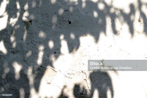 오래된 금이 간 석고 벽에 가혹한 빛으로 그림자를 남깁니다 0명에 대한 스톡 사진 및 기타 이미지 0명 가까운 거리 Istock