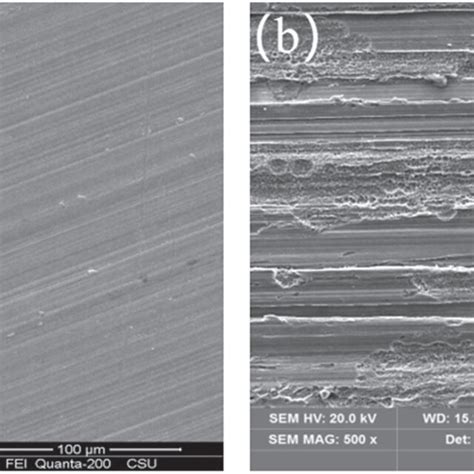 Sem Image Of Sample A A Before Corrosion Bcorrosion For 48