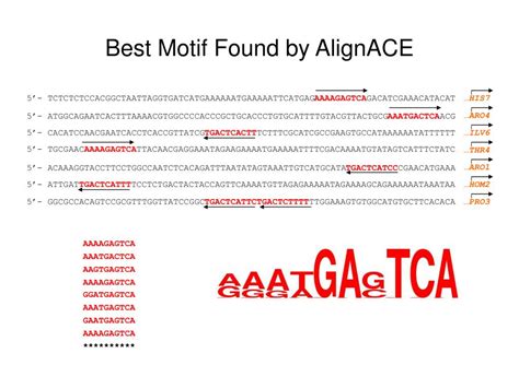 Ppt Beyond Co Expression Gene Network Inference Powerpoint