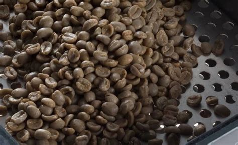 Size Classification For Green Coffee Green Coffee Is Not Only Purchased