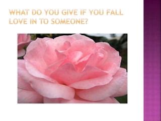 CONDITIONAL SENTENCE All Type 1 2 3 Dan Example Ppt