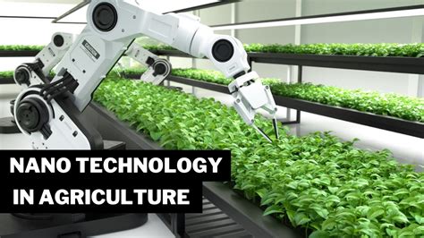 Nanotechnology In Agriculture And Food Tech Youtube Agronomy Free