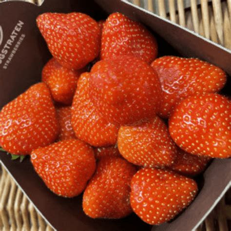 Strawberries Class 1 Tub Coxs Boxes